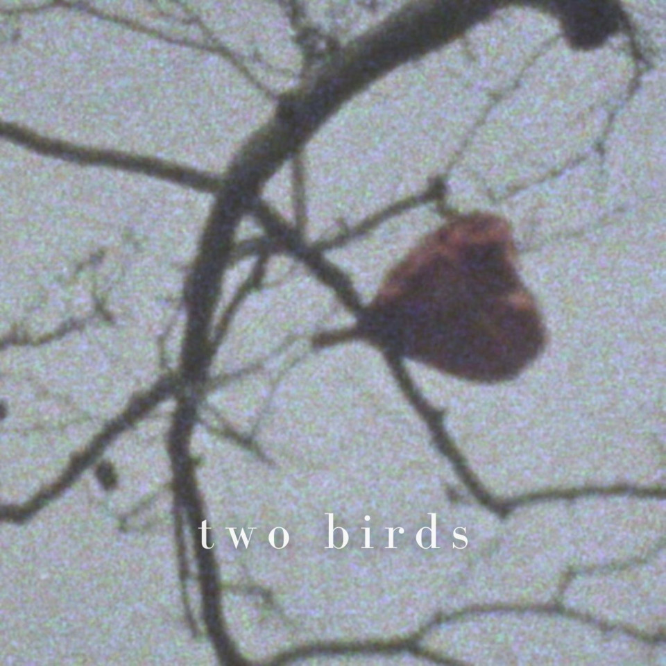 Two Birds - Ray Hou | Soundscape 在田發行｜數位發行 & 音樂行銷